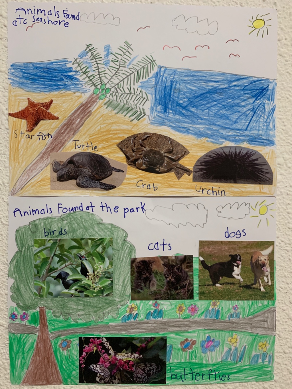 Featured projects: Seashells at the seashore - Castillo Jared Lena Mirasol